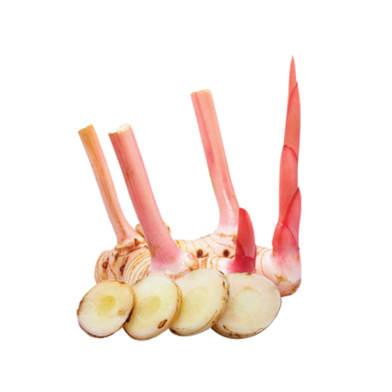 GALANGAL – SIAMFRESH ENTERPRISE